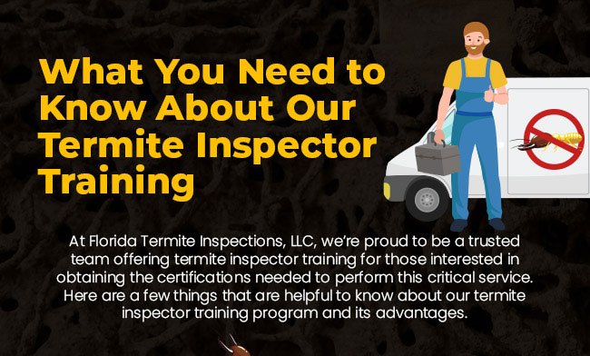 What You Need to Know About Our Termite Inspector Training [infographic ...